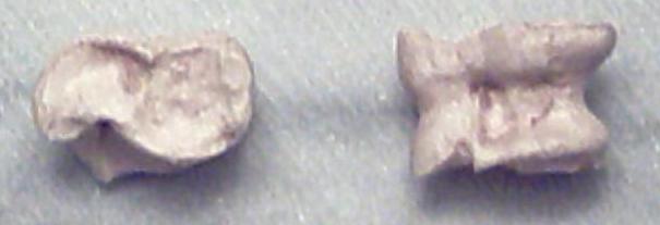 What is the Game of Knucklebones? (with pictures)