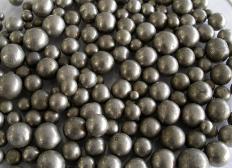 What is Birdshot? (with pictures)